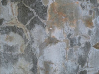 Top Concrete Staining Services in Florence for a Vibrant Finish